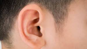 Episode 5 – Extraordinary Ears - Fun Kids - the UK's children's radio ...