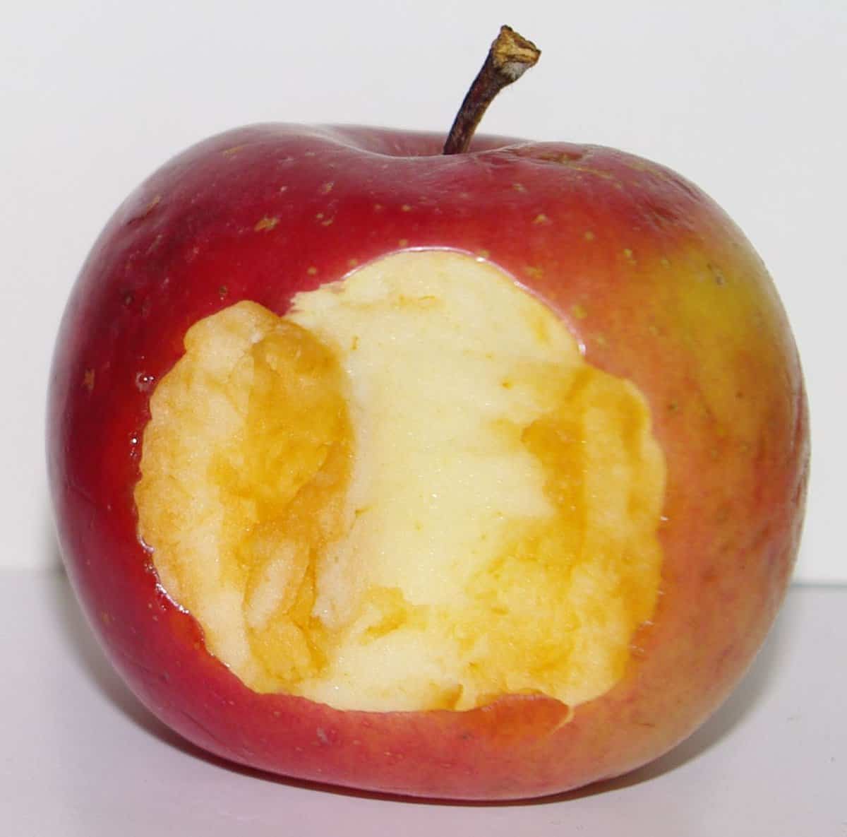 Kitchen Chemistry: Rot - Fun Kids - the UK's children's radio station