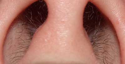 Why do we have two nostrils? - Fun Kids - the UK's children's radio station