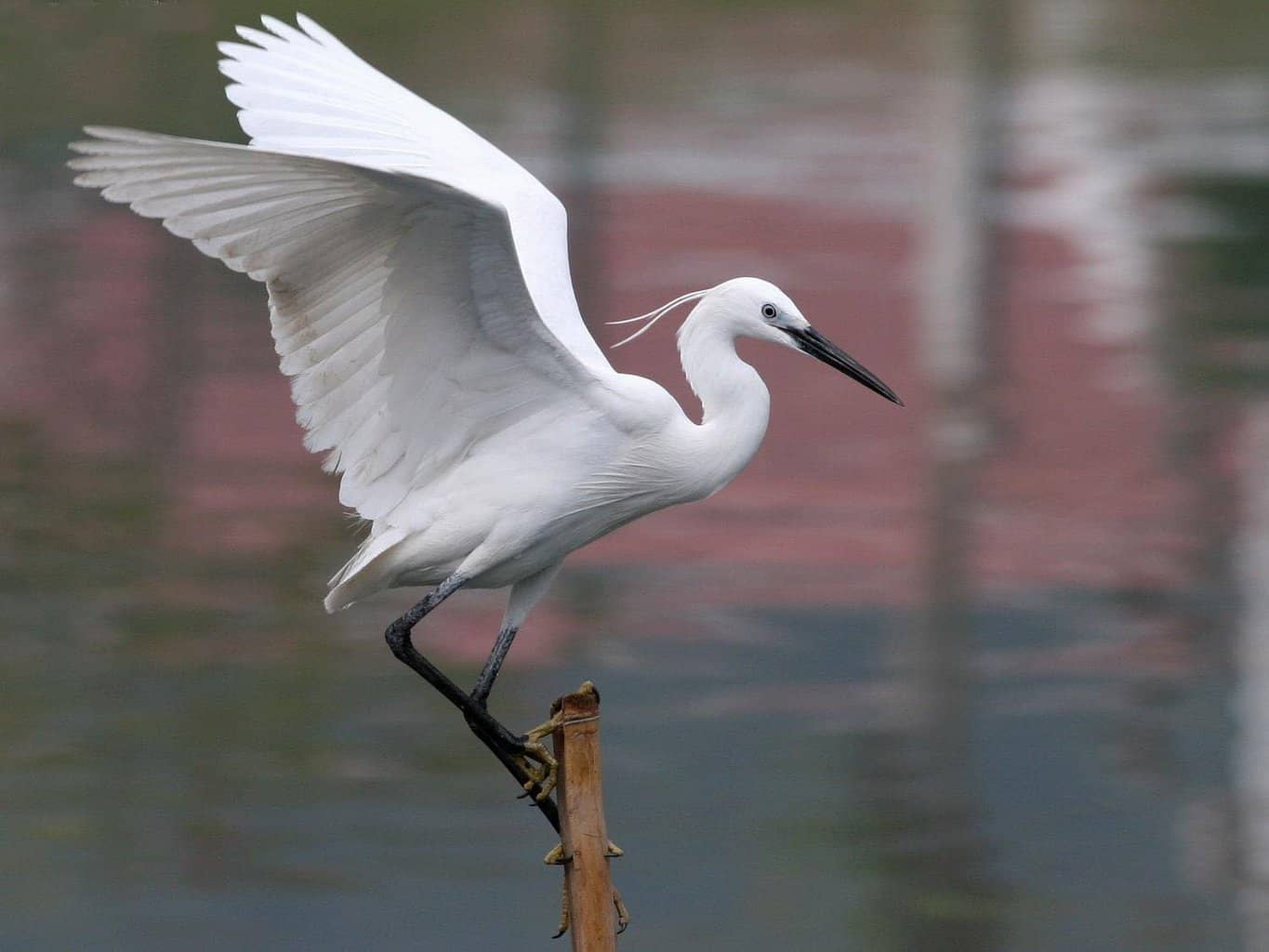 Fun Kids' Guide to Xiamen - Fun Kids - the UK's children's radio station