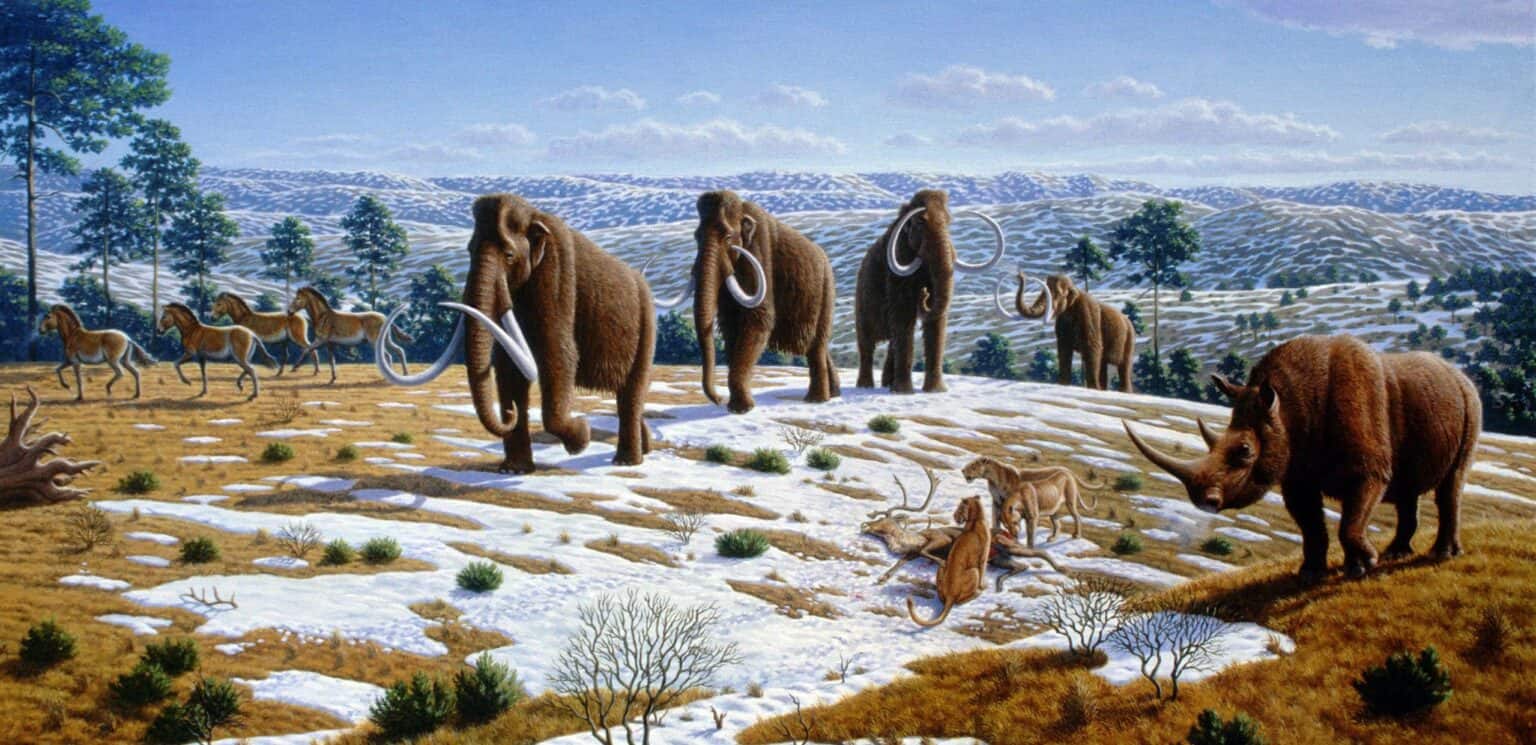 Geology rocks - The Pleistocene Period - Fun Kids - the UK's children's ...