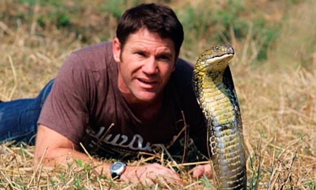 Check out The Falcon Chronicles by Steve Backshall! - Fun Kids - the UK ...