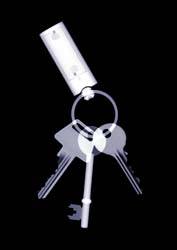 About Inside the Human Body - Fun Kids - the UK's children's radio station