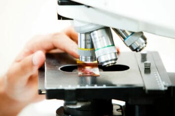 Hallux’s Pathology Puzzles: Types of Pathology - Fun Kids - the UK's ...