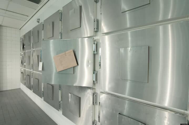 Hallux’s Pathology Puzzles: Forensic Pathology - Fun Kids - the UK's ...