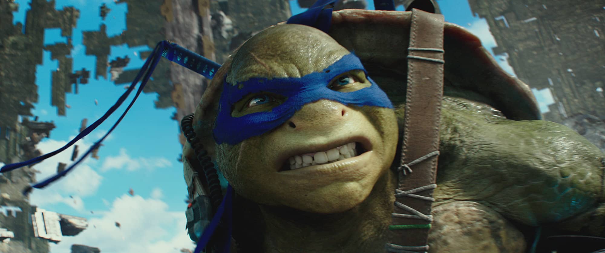 Teenage Mutant Ninja Turtles Real Life