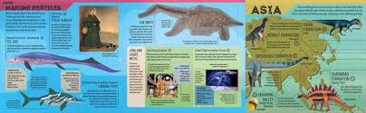 Explore prehistoric lands with Lonely Planet Kids' new Dinosaur Atlas ...
