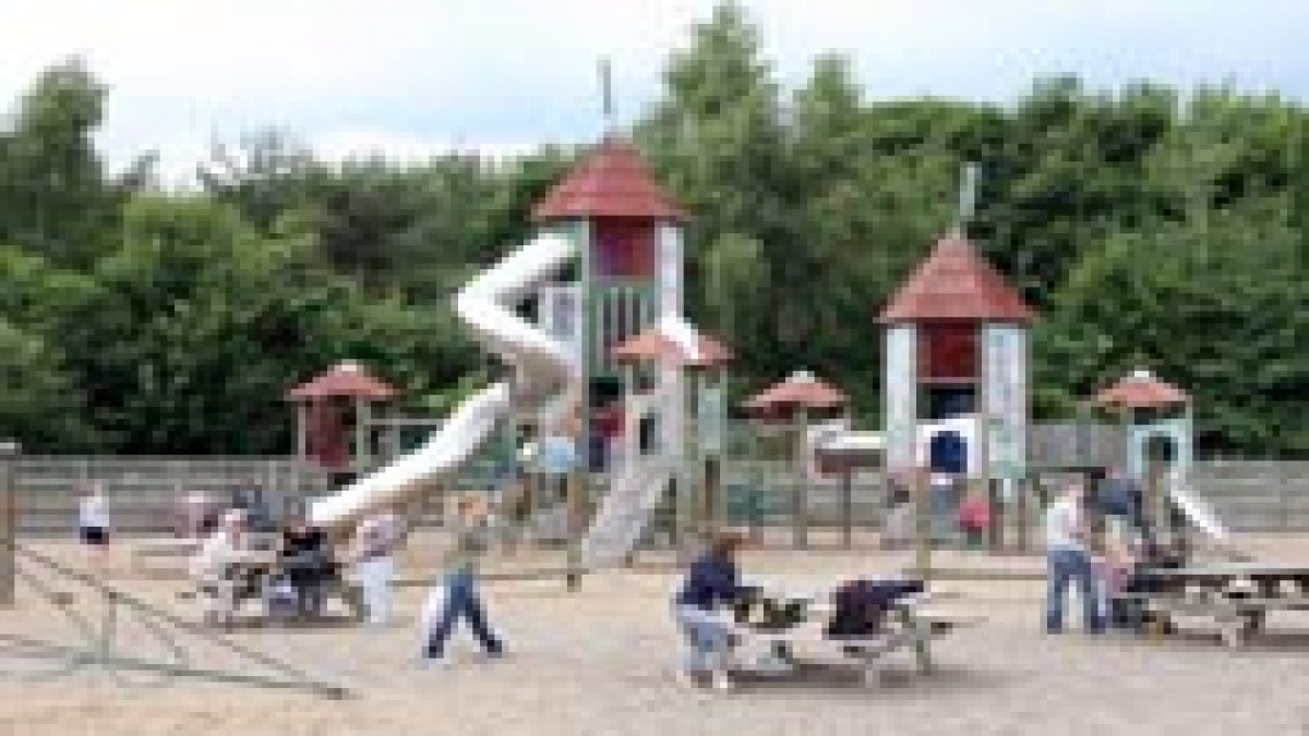 How do you play conkers? Top tips and how-to guide! - Fun Kids - the UK ...