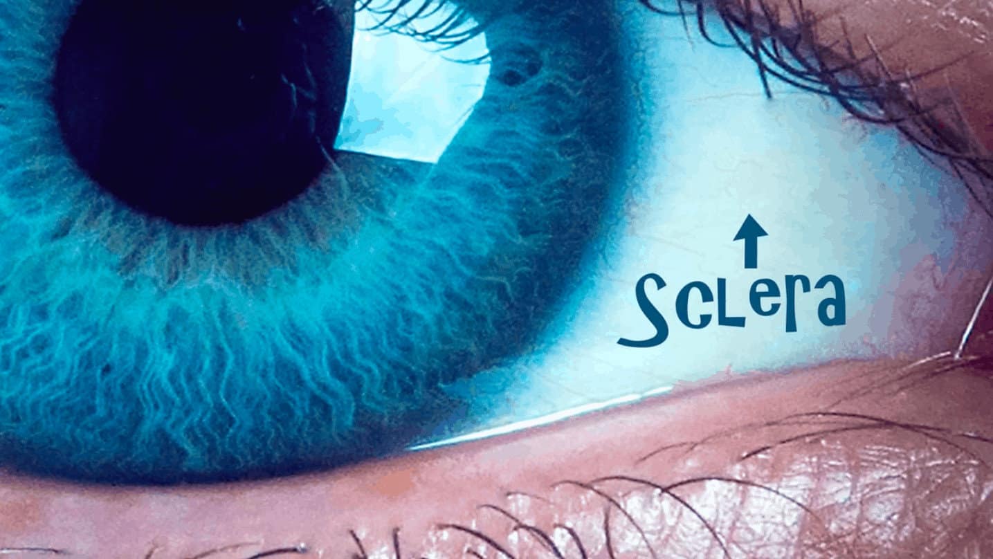 Mission 1: How The Eye Works - Fun Kids - the UK's children's radio station