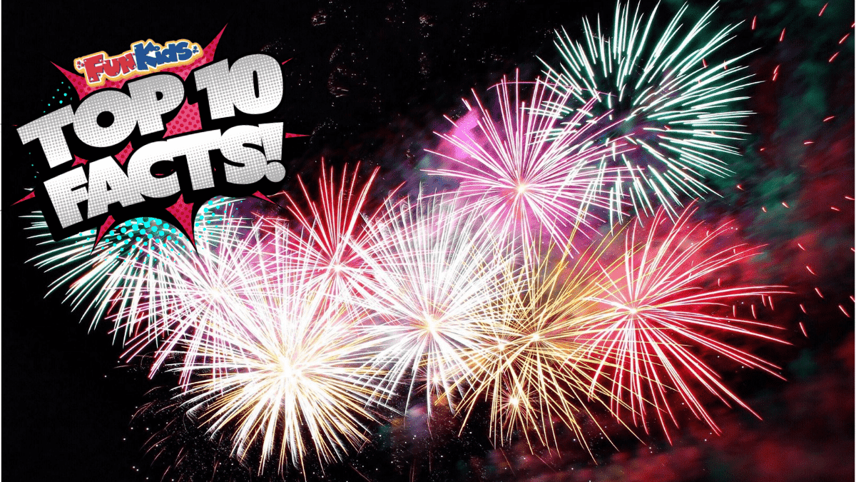 Top 10 Facts About Bonfire Night and Guy Fawkes! - Fun Kids - the UK's ...