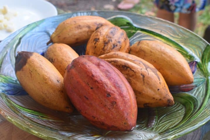 Top 10 Facts About The Aztecs! - Fun Kids - the UK's children's radio ...