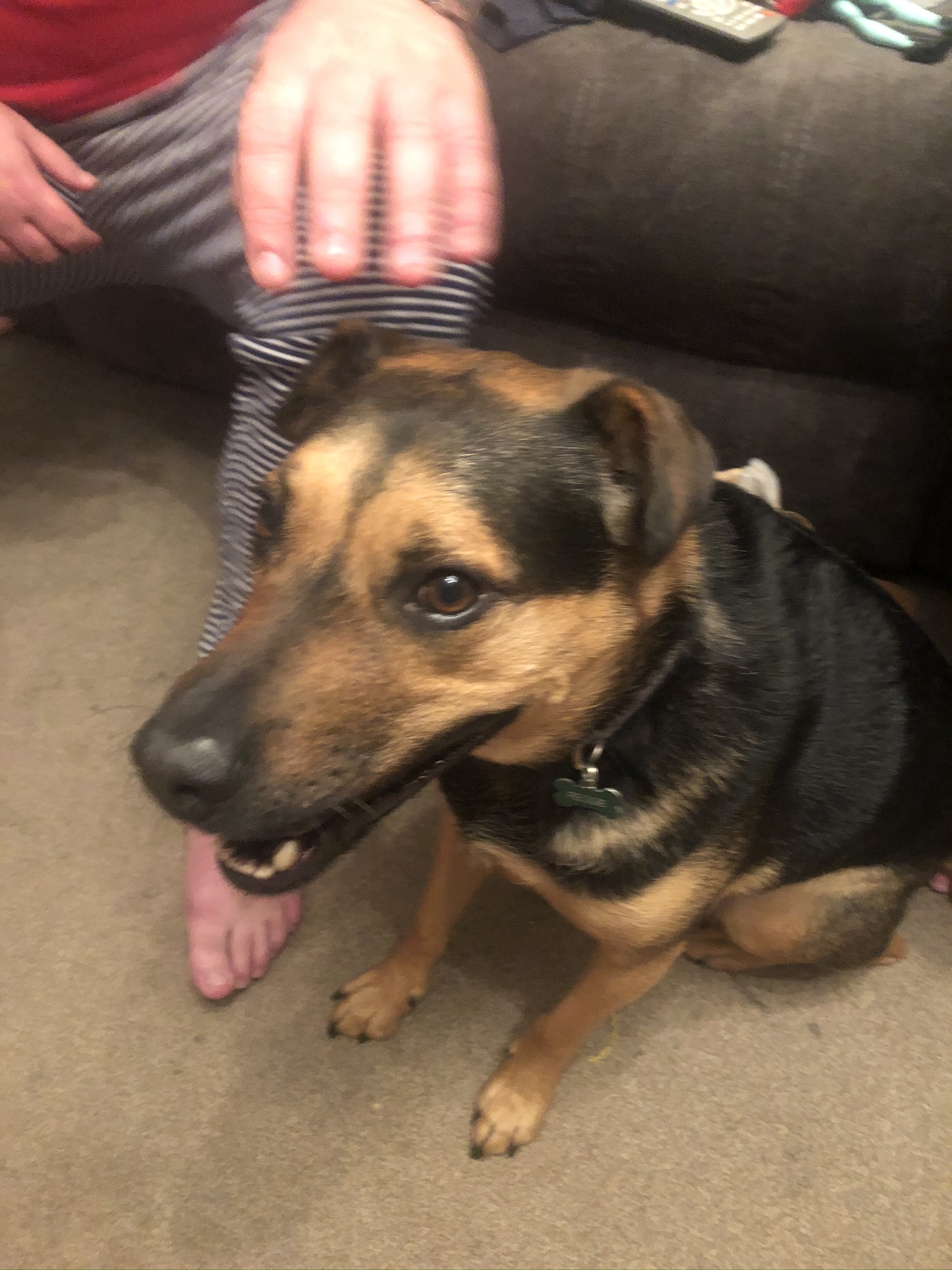 Pet Shout-outs! - Fun Kids - the UK's children's radio station