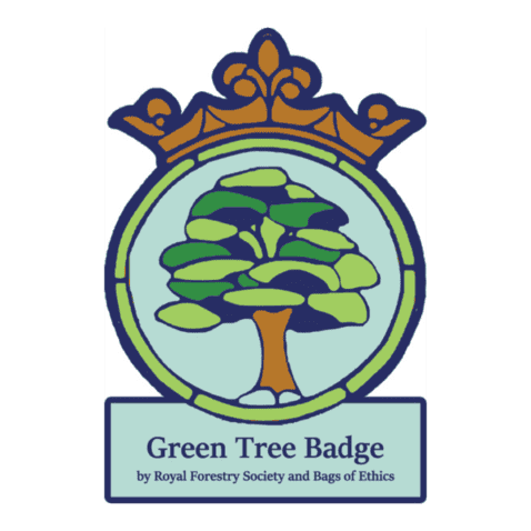 Earn your Green Tree Badge with fun tree-based activities! - Fun Kids ...
