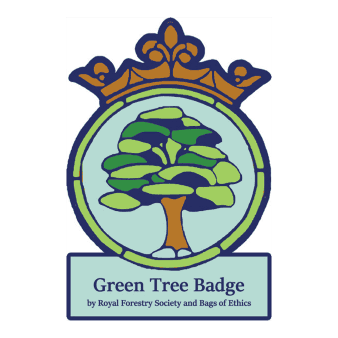 Earn your Green Tree Badge with fun tree-based activities! - Fun Kids ...