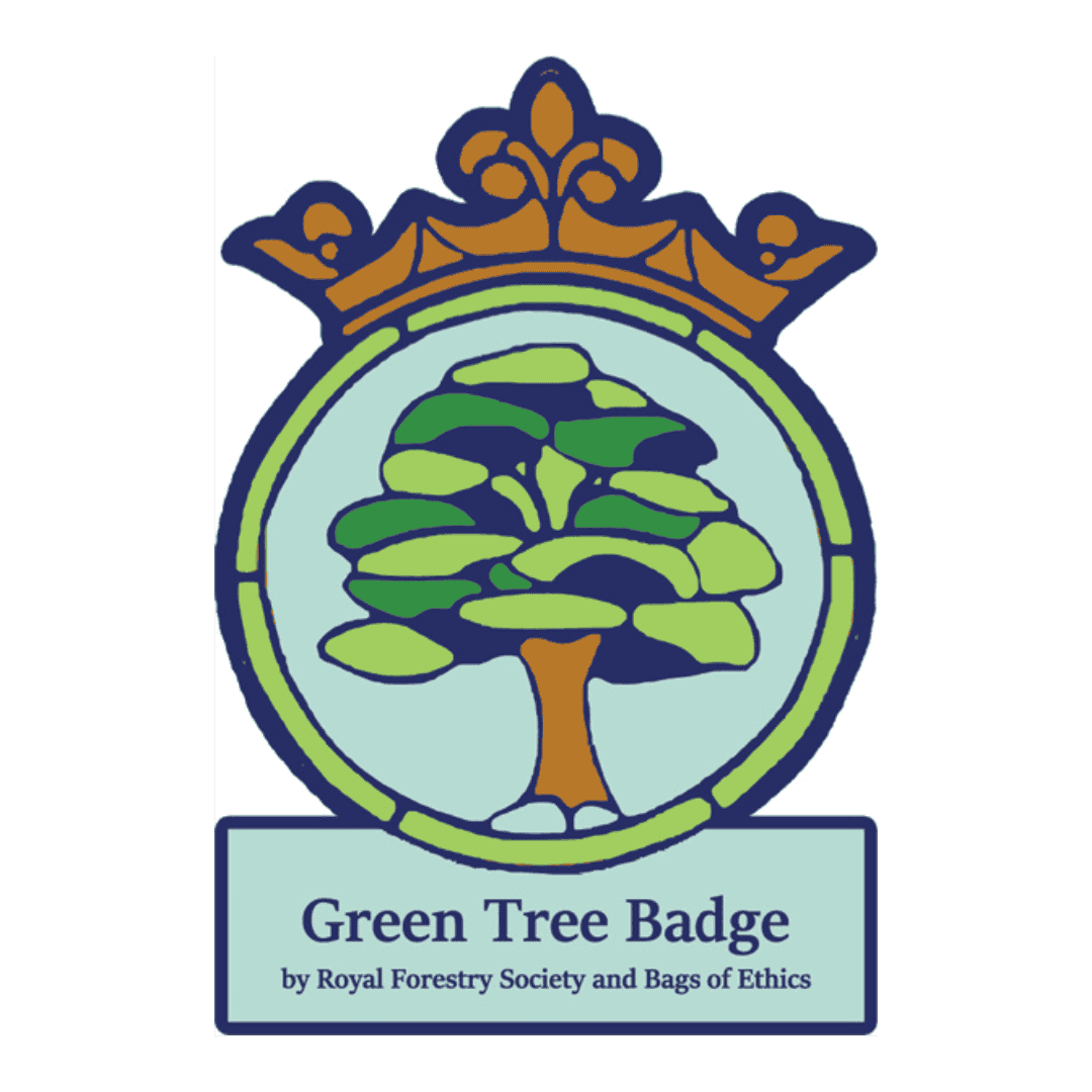 Earn your Green Tree Badge with fun tree-based activities! - Fun Kids ...