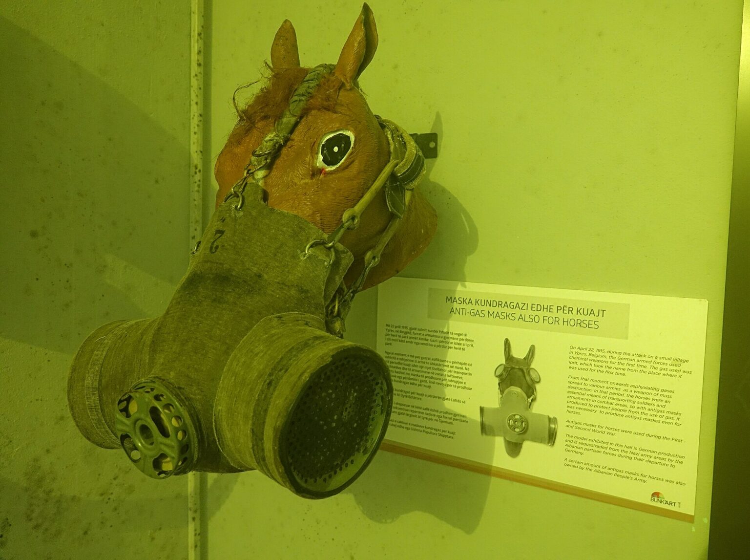 BLITZ KIDS: WAR IS DECLARED – A CHANGING HOME LIFE - Fun Kids - the UK ...