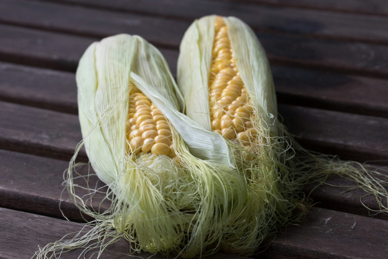 Everything you need to know about... sweetcorn! - Fun Kids - the UK's ...