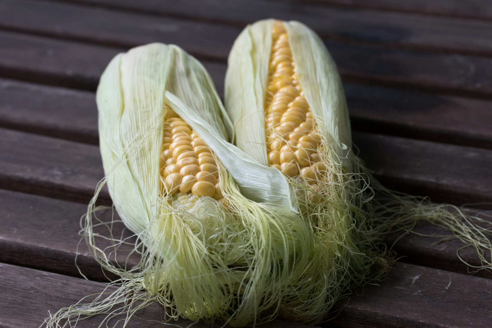 Everything you need to know about... sweetcorn! - Fun Kids - the UK's ...