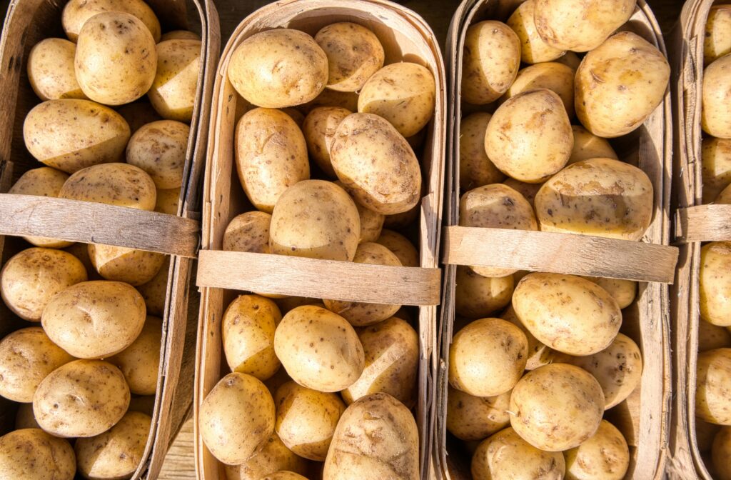 Everything you need to know about… the potato - Fun Kids - the UK's ...