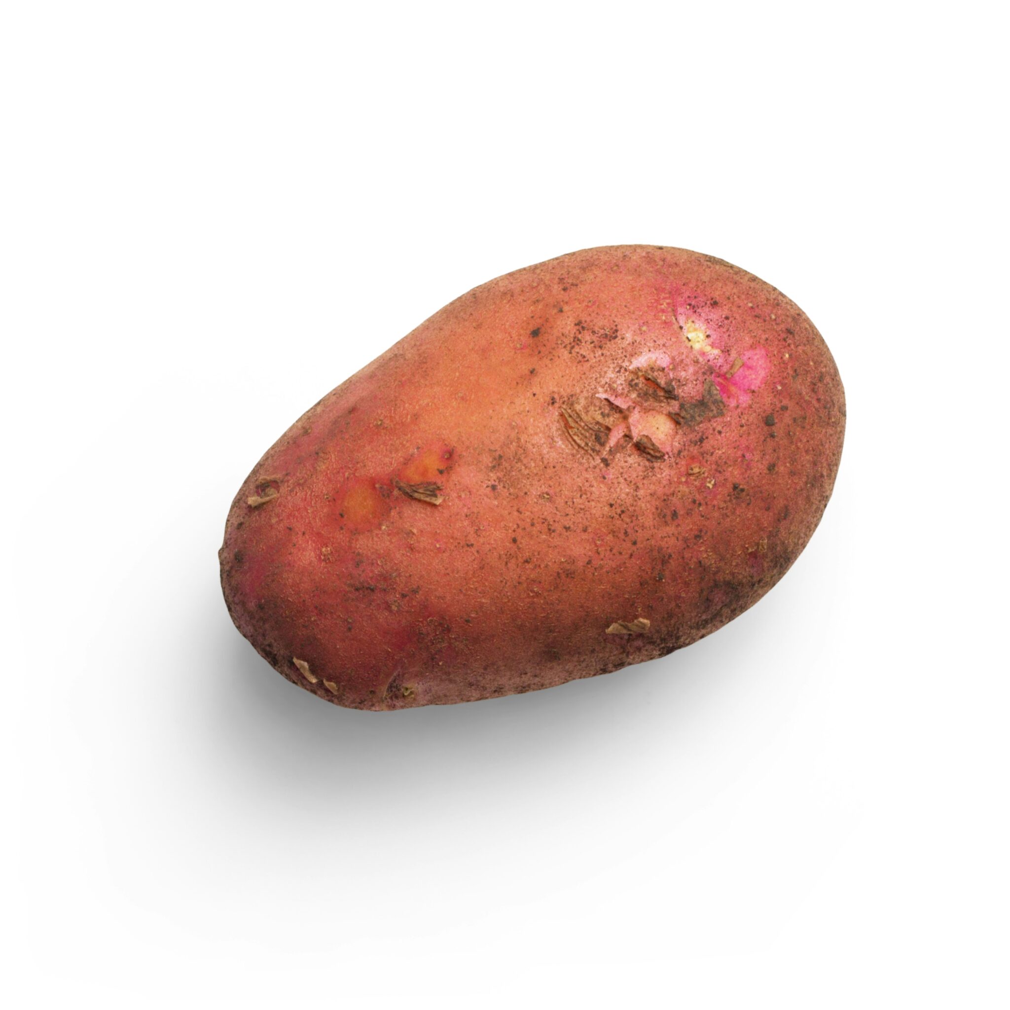 Everything you need to know about… the potato - Fun Kids - the UK's ...