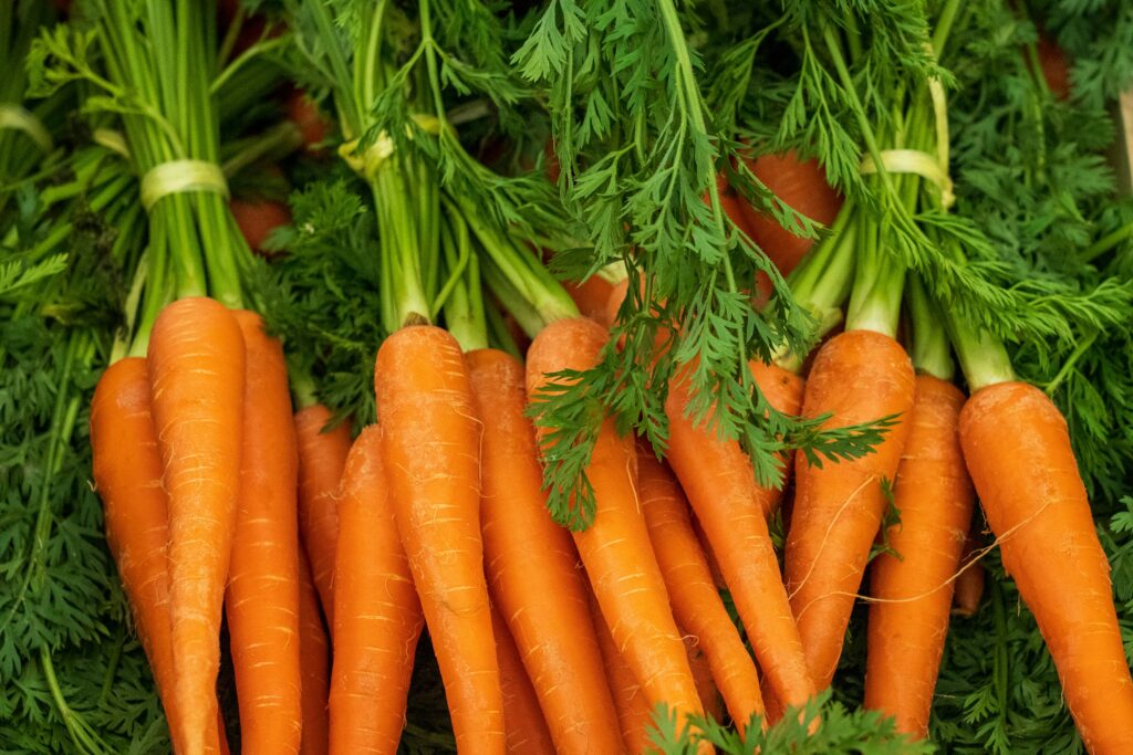 Everything you need to know about… the Carrot - Fun Kids - the UK's ...
