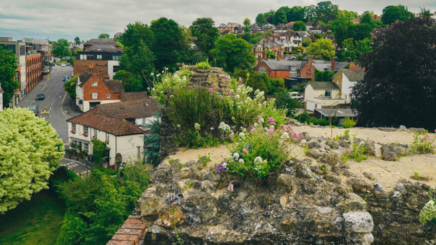 Summer in Guildford: 11 Brilliant Things to Do with the Kids (2026 ...